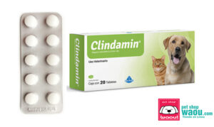 CLINDAMIN 10 TABLETAS (Clindamicina) – petshopwaou